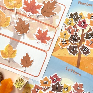 Leaves and Trees Learning Pack, Homeschool Printables, Sensory Play ...
