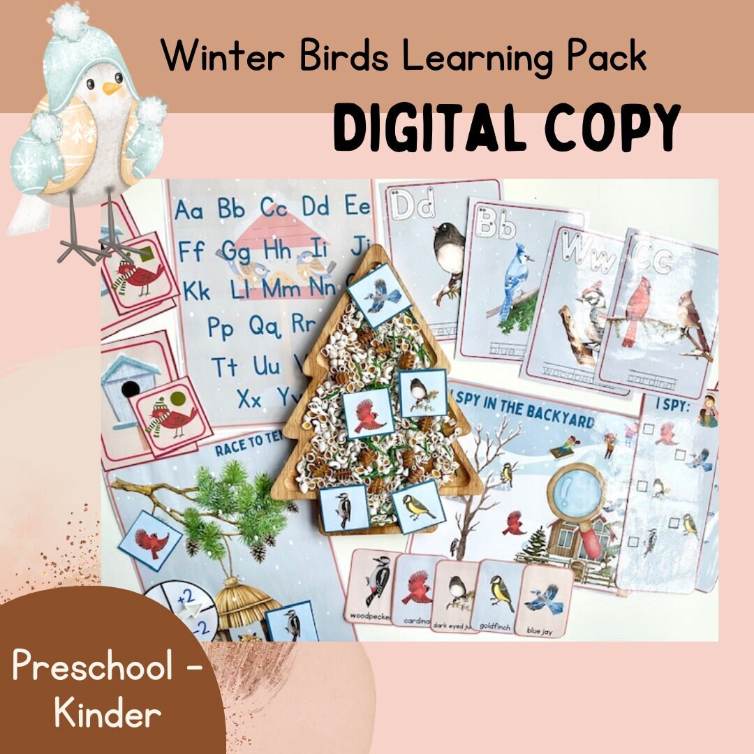 Winter Birds Learning Pack, Winter Preschool Activities, Homeschool ... Winter Birds Learning Pack, Winter Preschool Activities, Homeschool ...