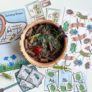 Insect PRESCHOOL Learning Pack, Spring Preschool Activities, Homeschool ...