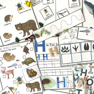 Winter Animals Learning Pack, Preschool Activities, Hibernation Unit ...