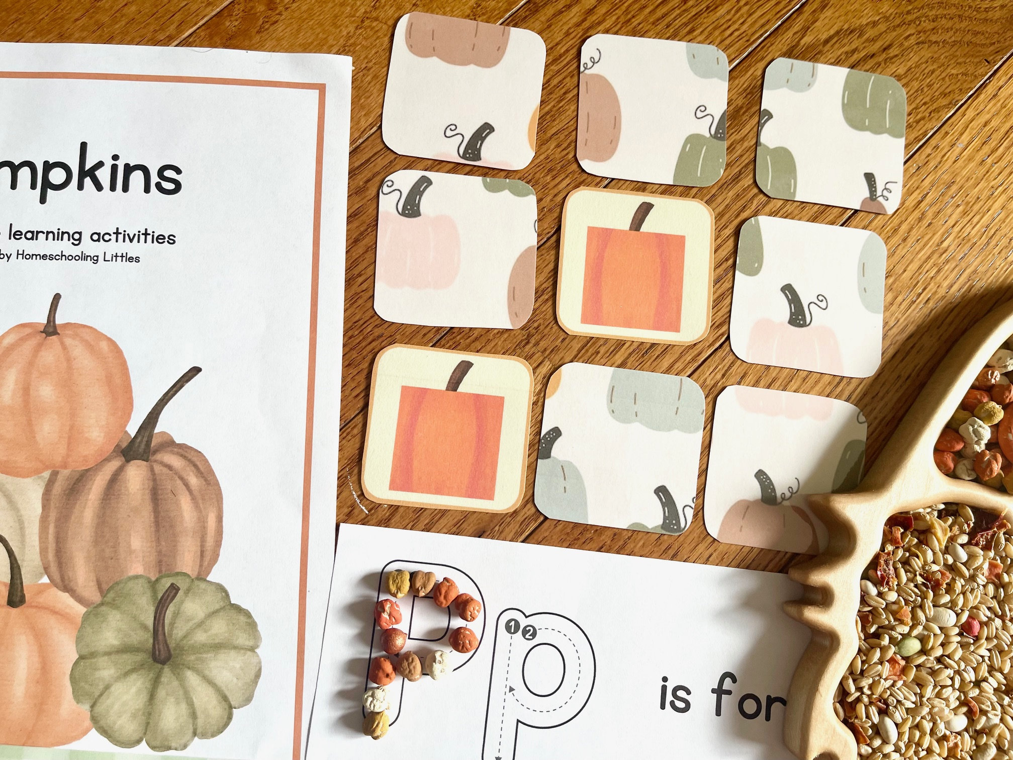 Pumpkin Learning Pack Homeschool Printables Sensory Play - Etsy