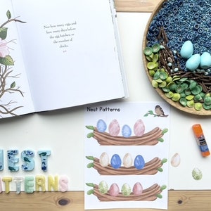 Bird Learning Pack, Preschool Activities, Spring Preschool, Bird Unit ...