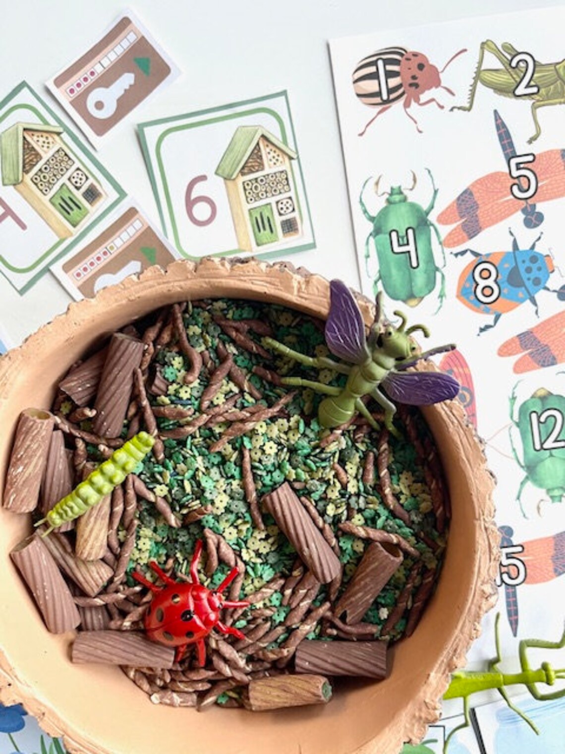 Insect PRESCHOOL Learning Pack, Spring Preschool Activities, Homeschool ...