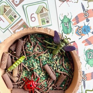 Insect PRESCHOOL Learning Pack, Spring Preschool Activities, Homeschool ...