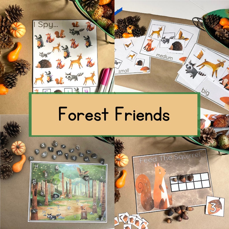 Forest Friends Preschool Learning Pack, Alphabet Activities, Montessori ...