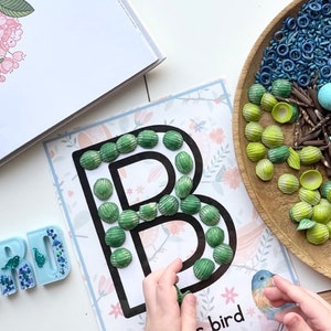 Bird Learning Pack, Preschool Activities, Spring Preschool, Bird Unit ...