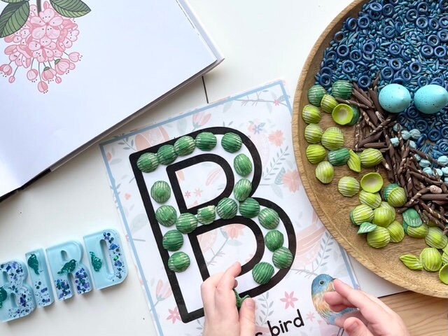 Bird Learning Pack, Preschool Activities, Spring Preschool, Bird Unit ...