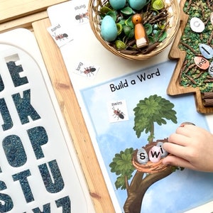 Bird Learning Pack, Preschool Activities, Spring Preschool, Bird Unit ...