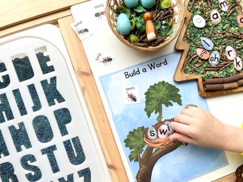 Bird Learning Pack, Preschool Activities, Spring Preschool, Bird Unit ...