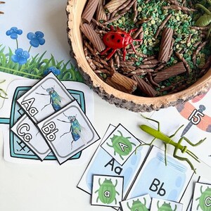 Insect PRESCHOOL Learning Pack, Spring Preschool Activities, Homeschool ...