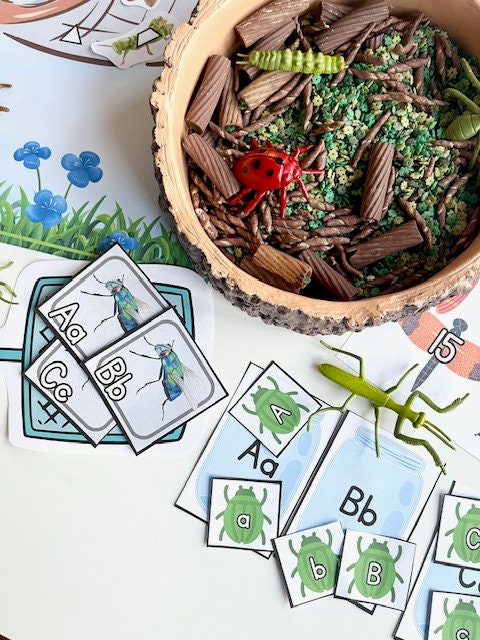 Insect PRESCHOOL Learning Pack, Spring Preschool Activities, Homeschool ...