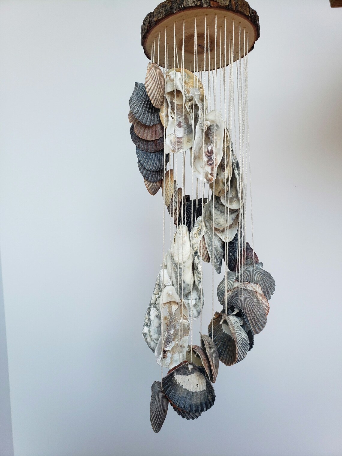Scallop and Oyster Shell Chime - Etsy