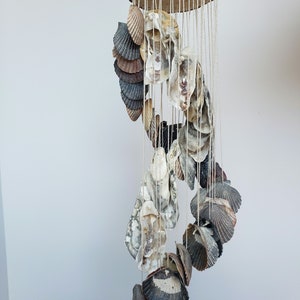 Scallop and Oyster Shell Chime - Etsy