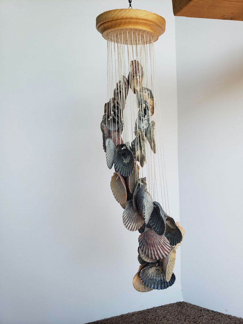 Scallop and Oyster Shell Chime - Etsy