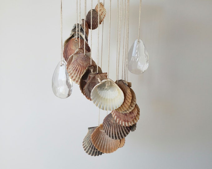 Mini Scallop Shell Chime - Etsy
