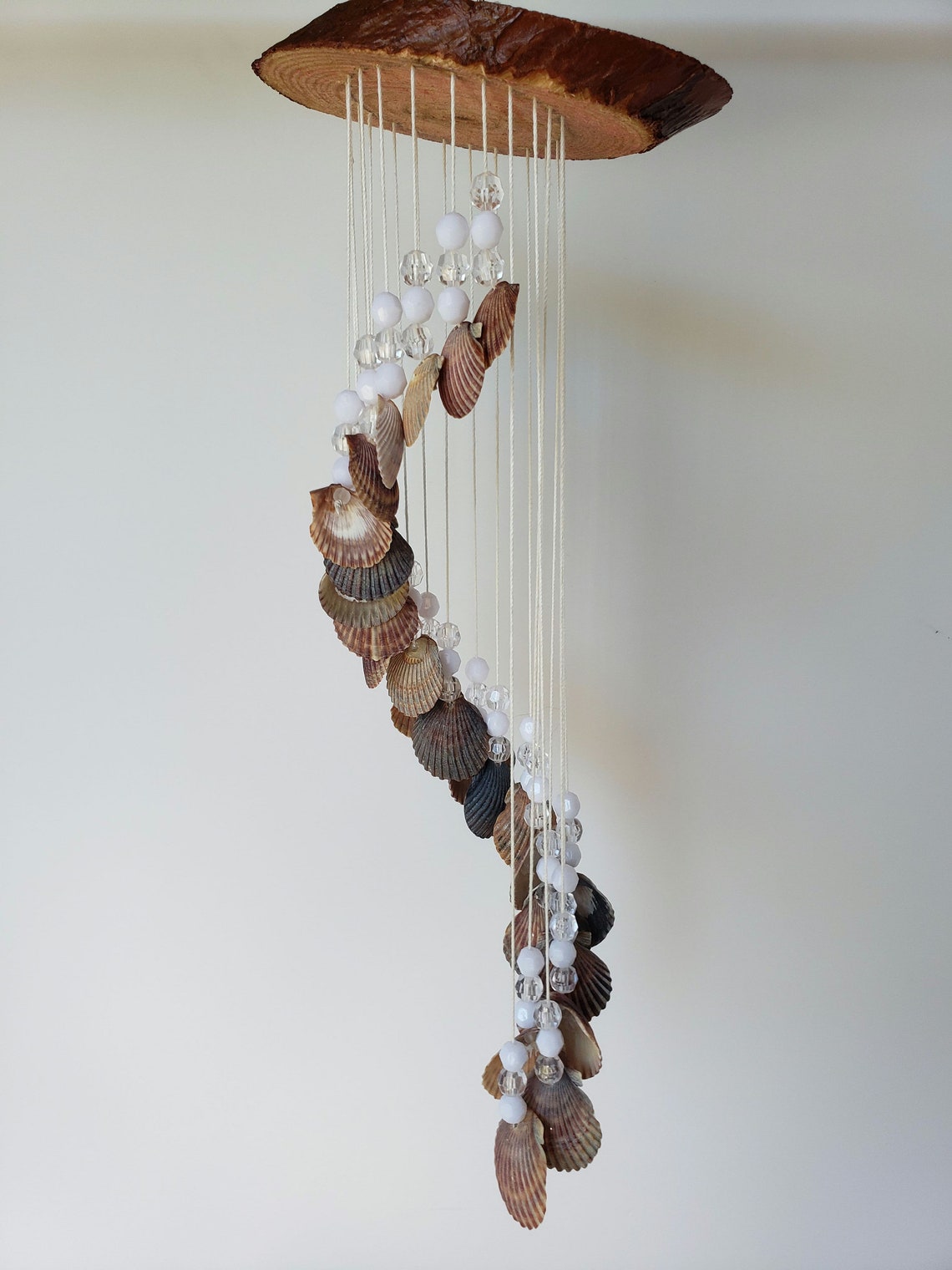 Mini Scallop Shell Chime - Etsy
