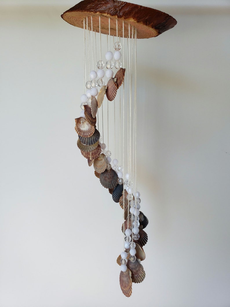 Mini Scallop Shell Chime - Etsy