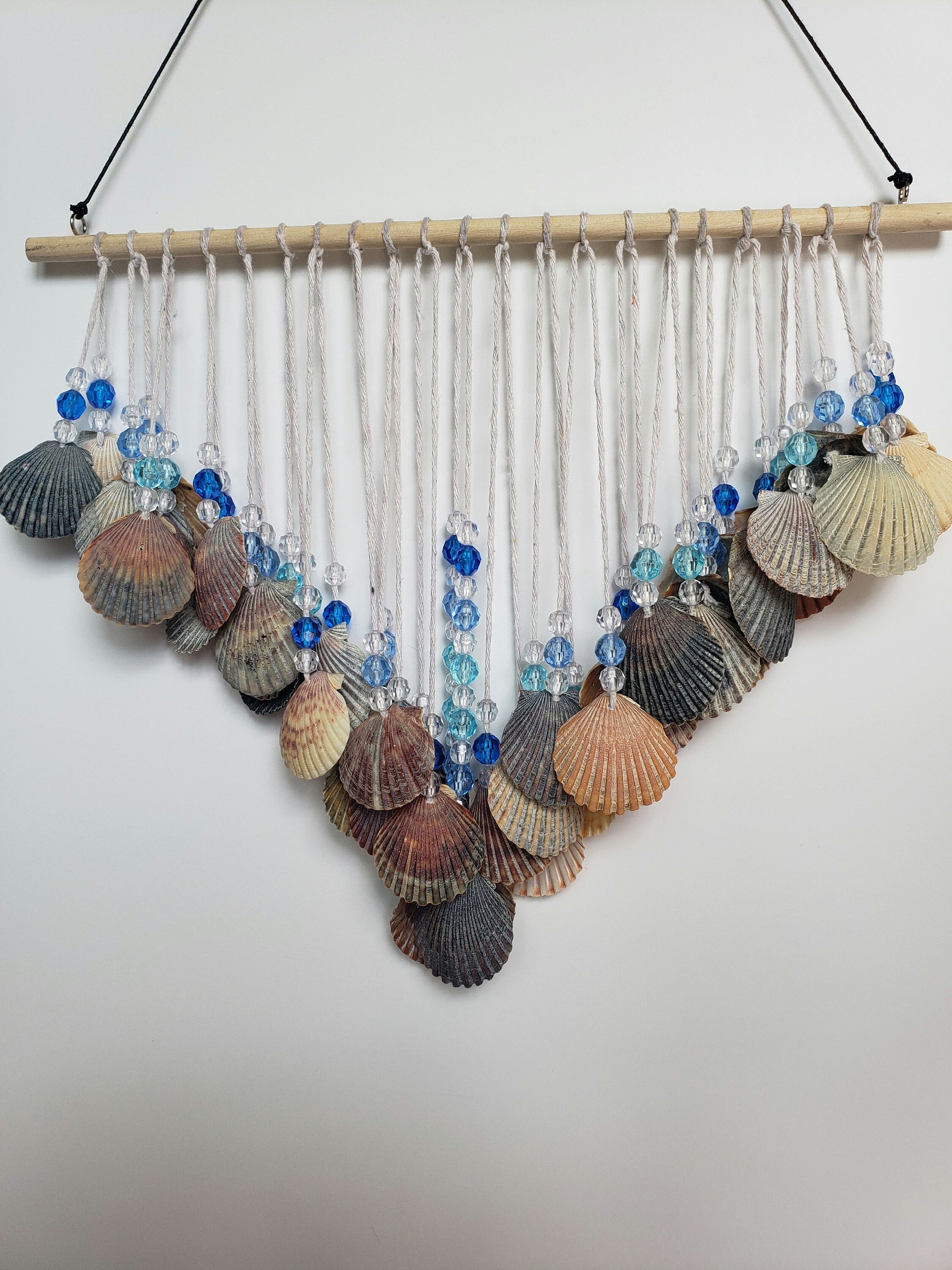 Scallop Shell Chime - Etsy