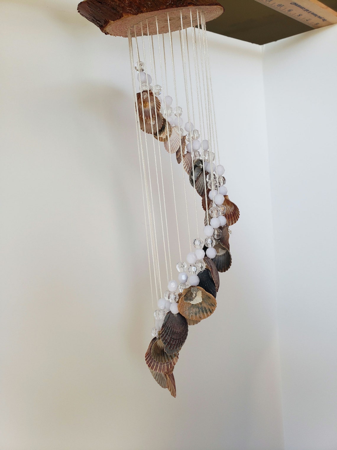 Mini Scallop Shell Chime - Etsy
