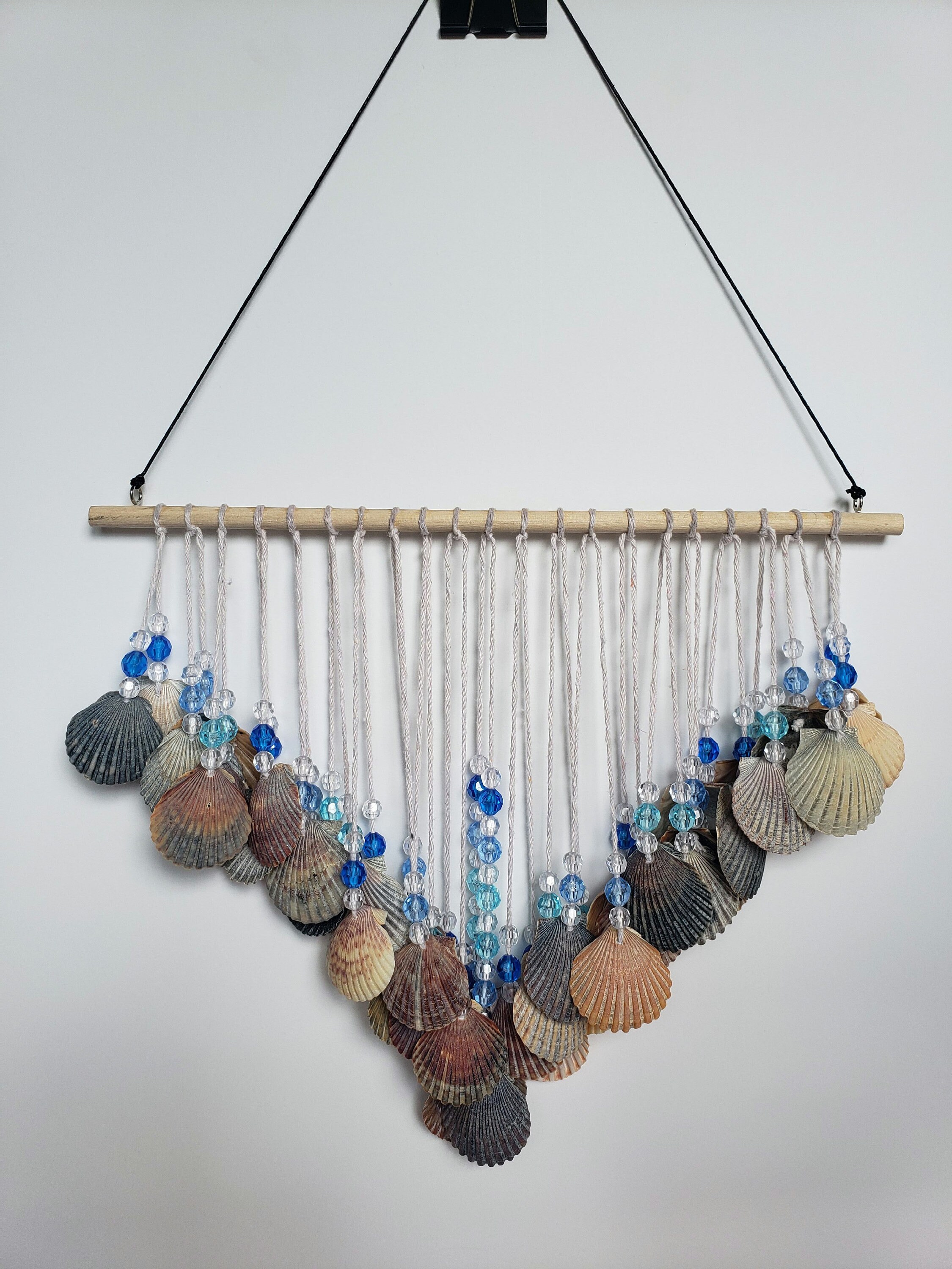 Scallop Shell Chime - Etsy