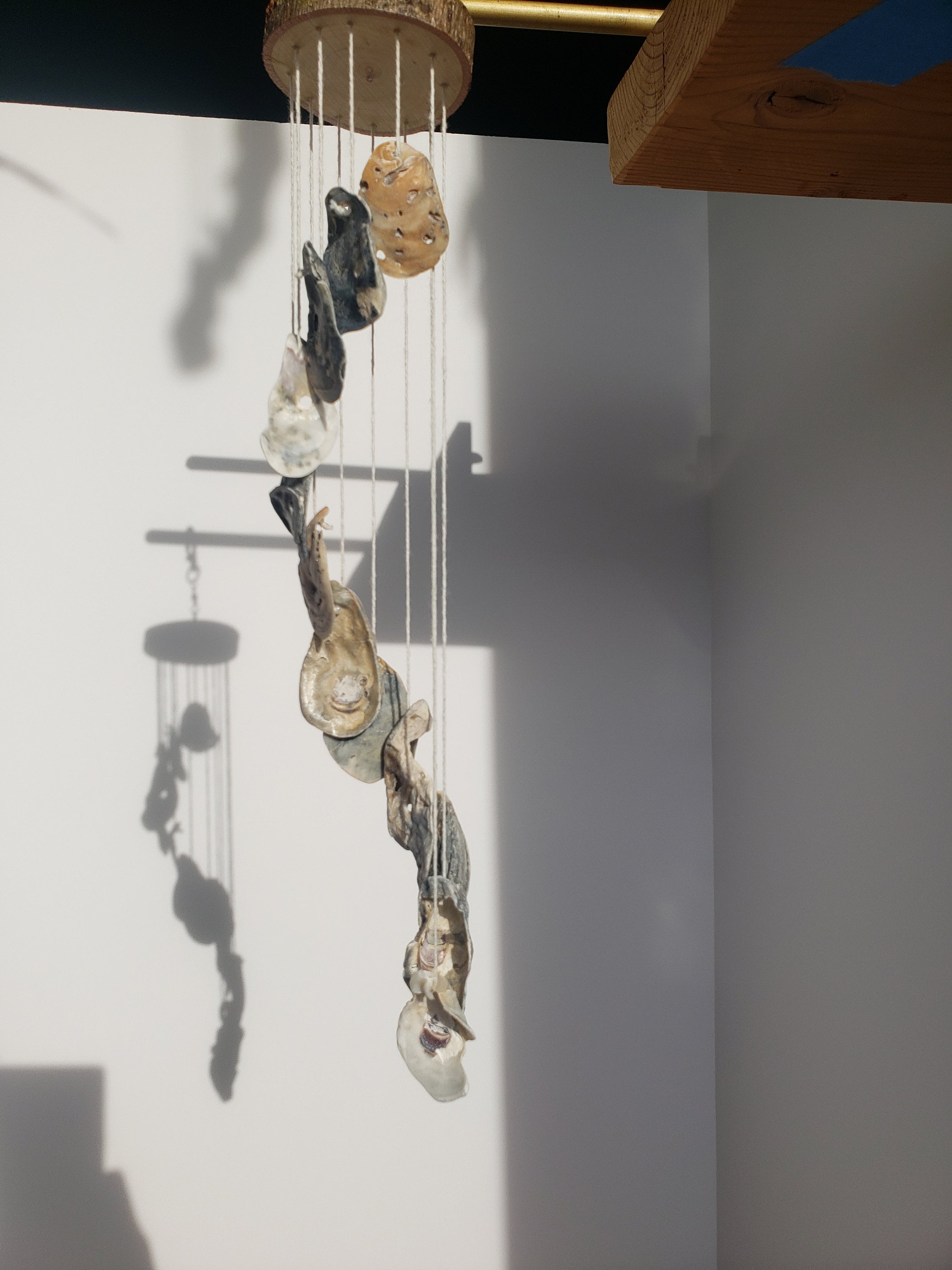 Mini Oyster Shell Chime - Etsy