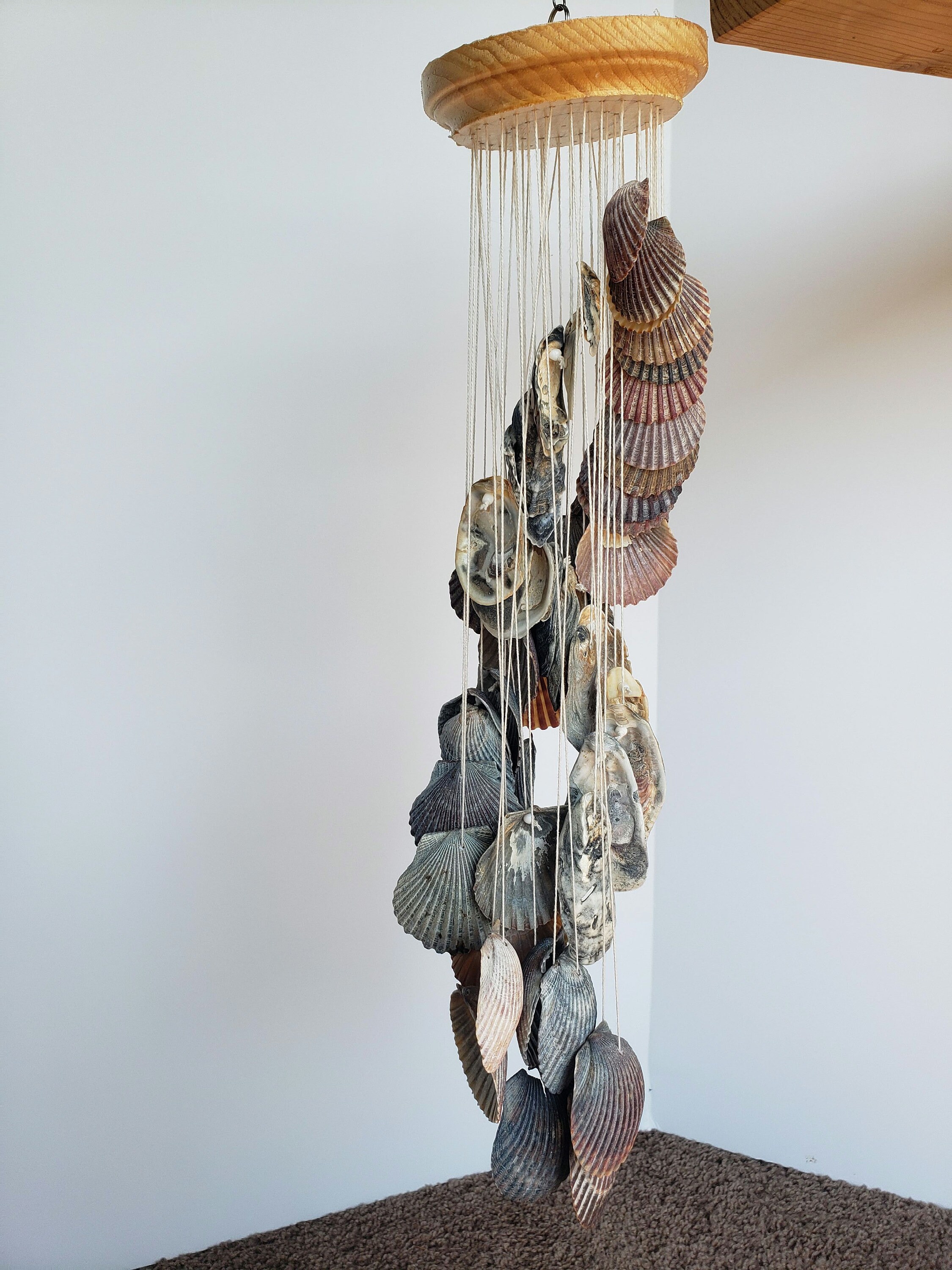 Scallop and Oyster Shell Chime - Etsy