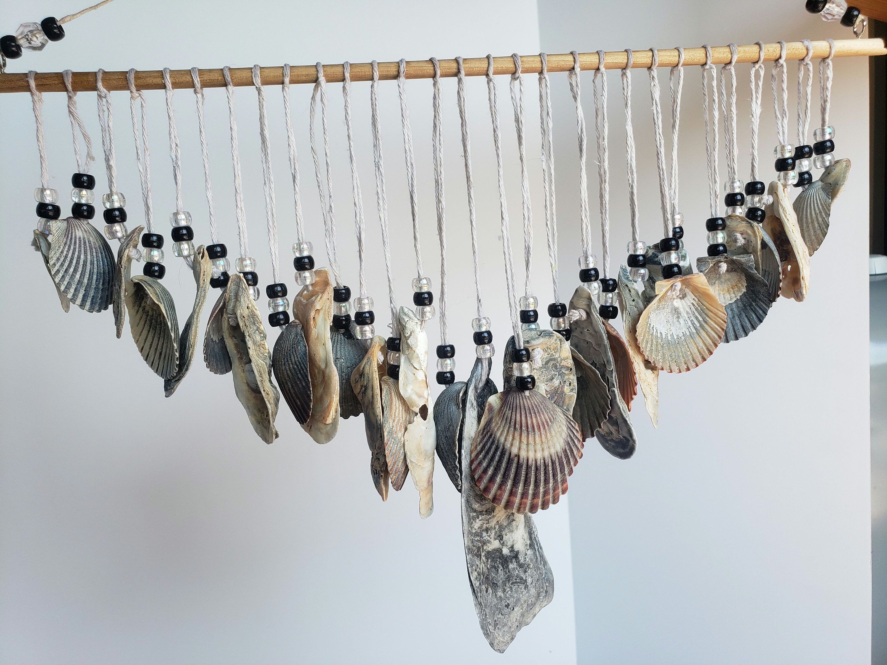 Scallop and Oyster Shell Chime - Etsy