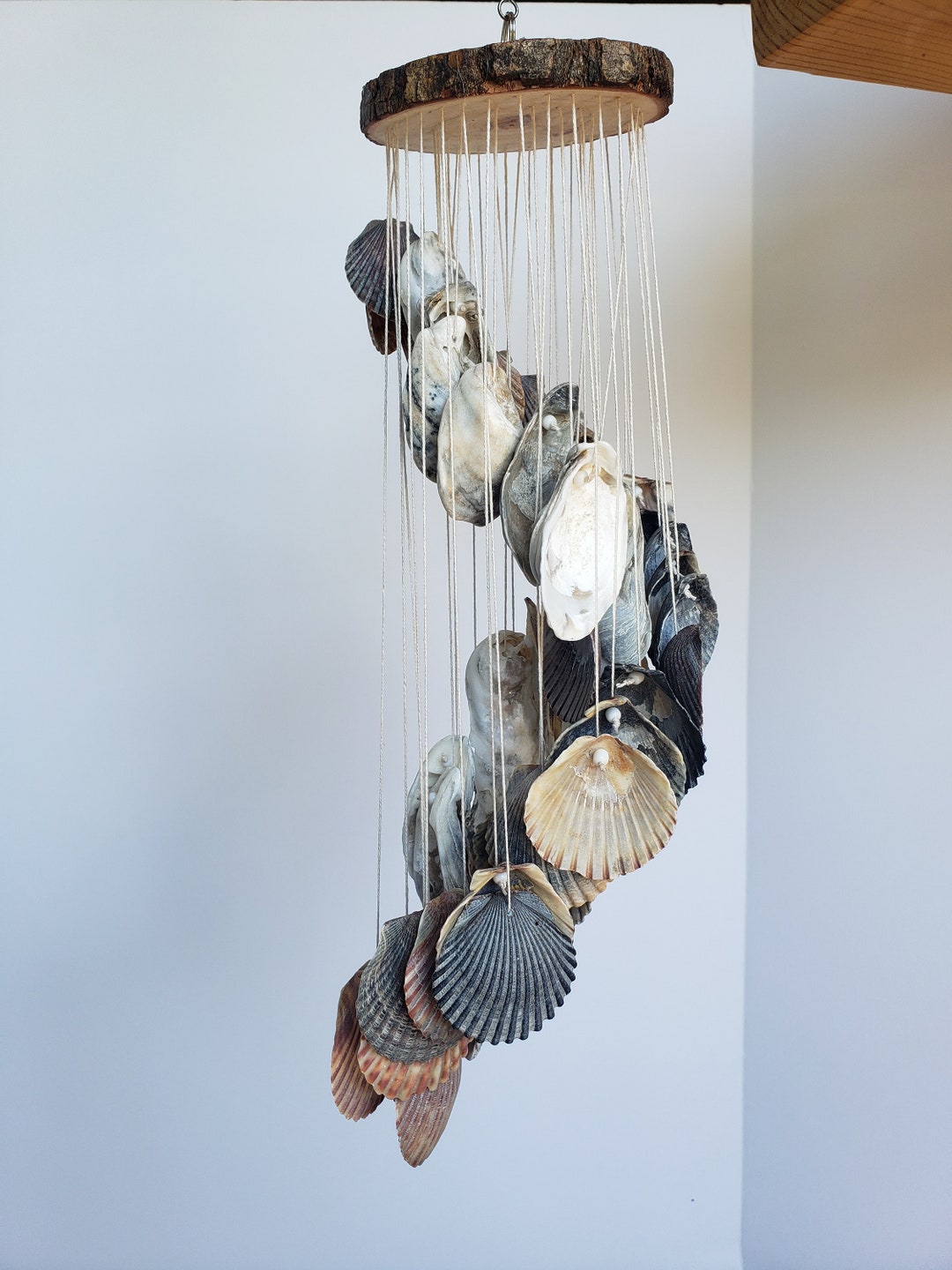 Scallop and Oyster Shell Chime - Etsy
