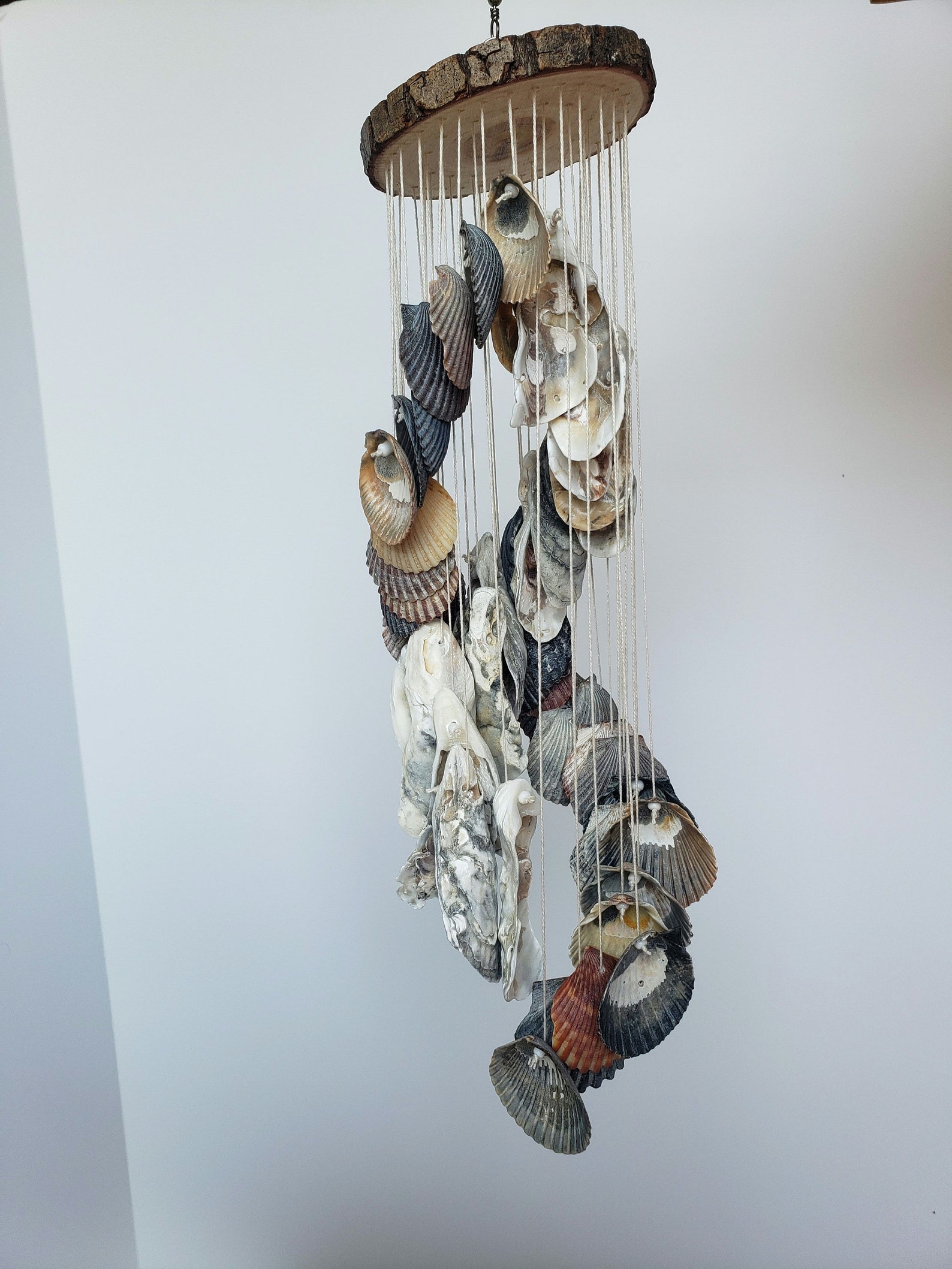 Scallop and Oyster Shell Chime - Etsy
