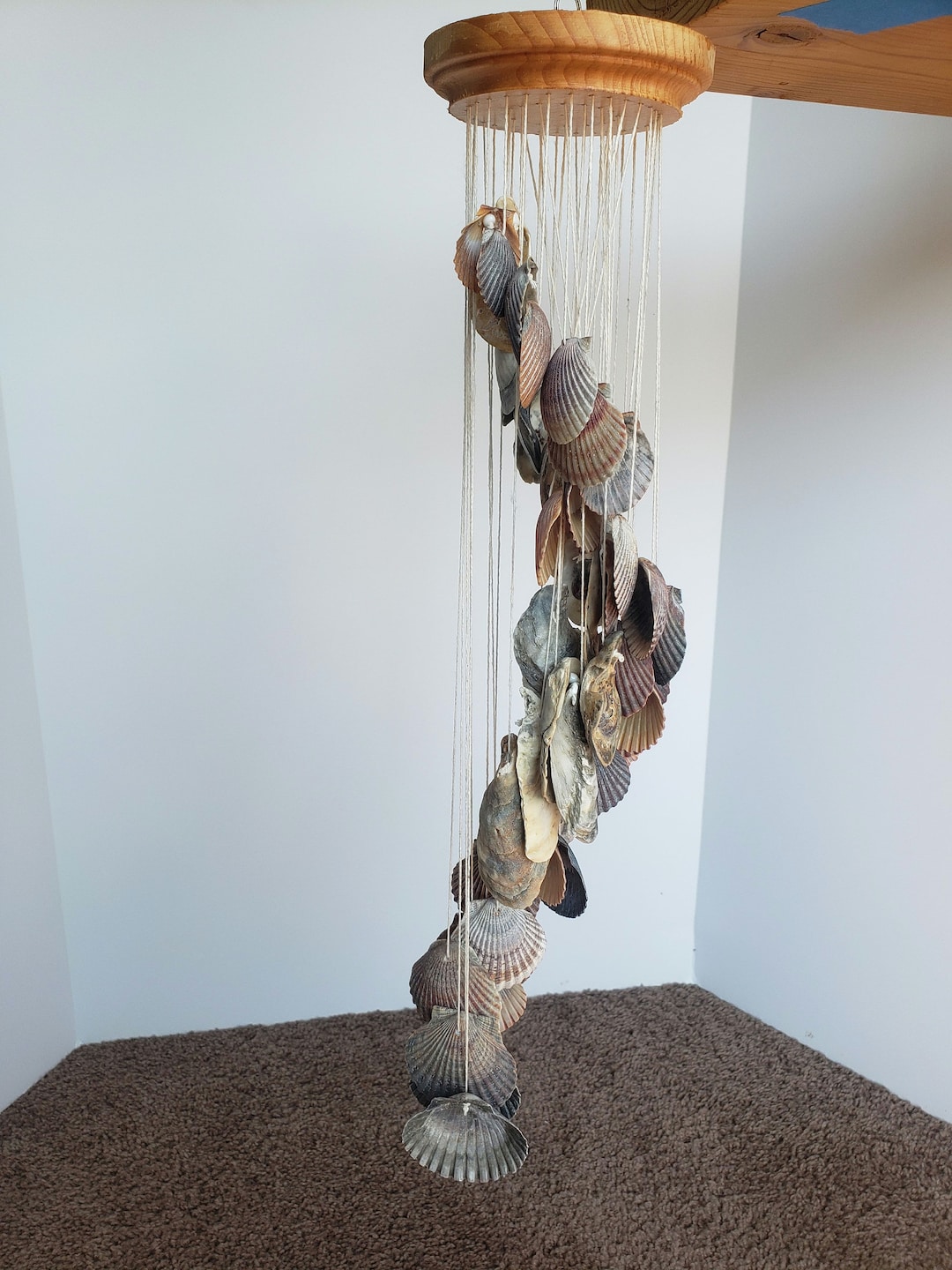 Scallop and Oyster Shell Chime - Etsy