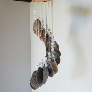 Mini Scallop Shell Chime - Etsy