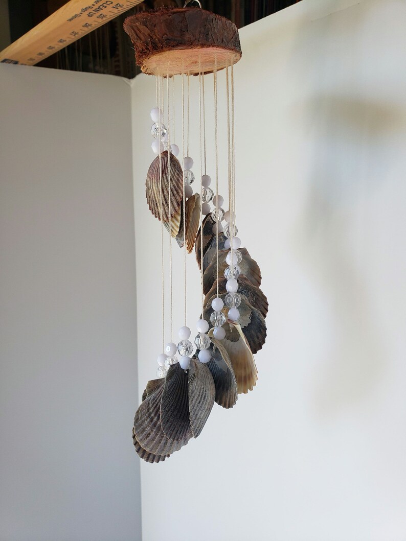 Mini Scallop Shell Chime - Etsy