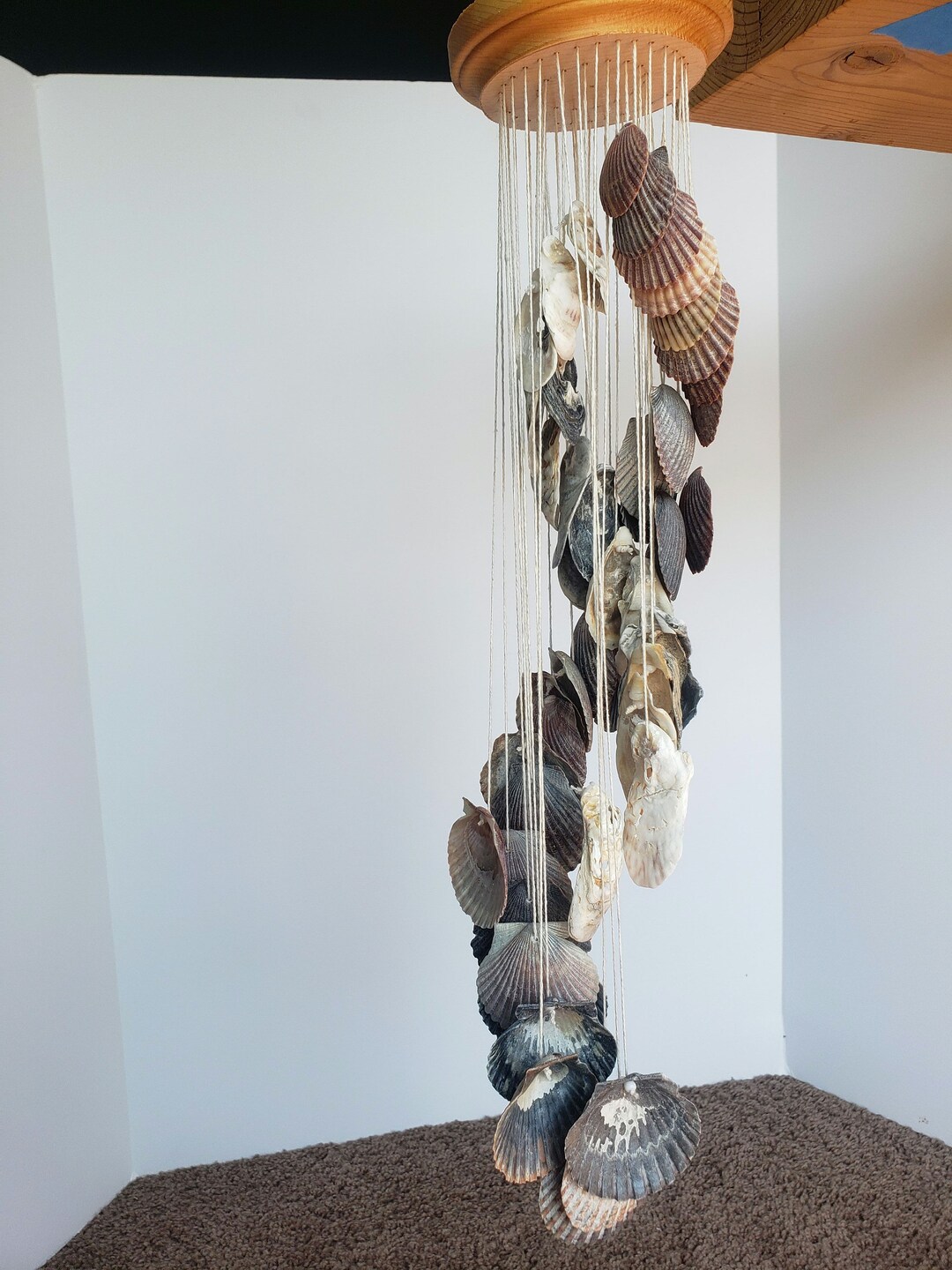 Scallop and Oyster Shell Chime - Etsy