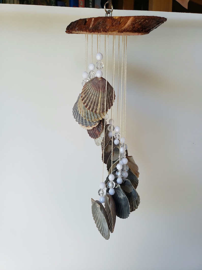 Mini Scallop Shell Chime - Etsy