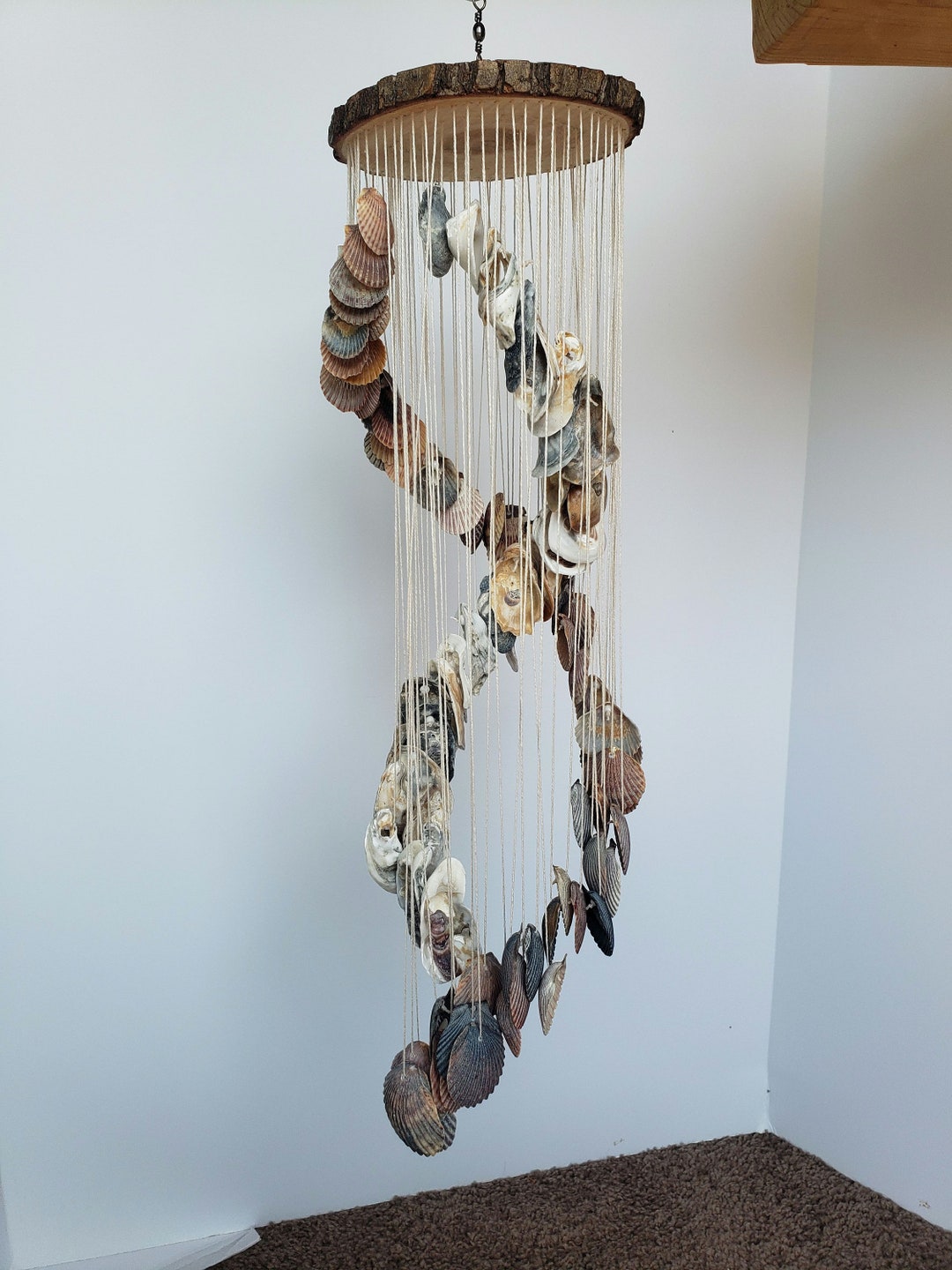 Scallop and Oyster Shell Chime - Etsy