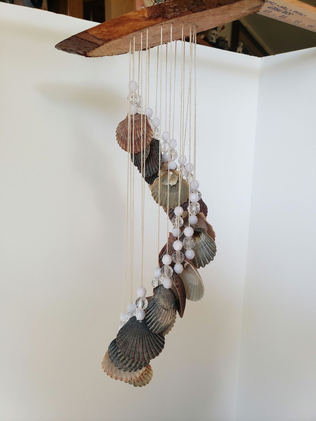 Mini Scallop Shell Chime - Etsy