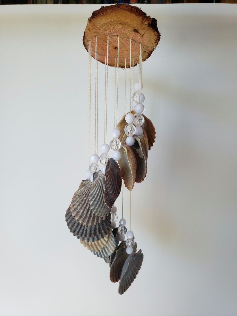 Mini Scallop Shell Chime - Etsy