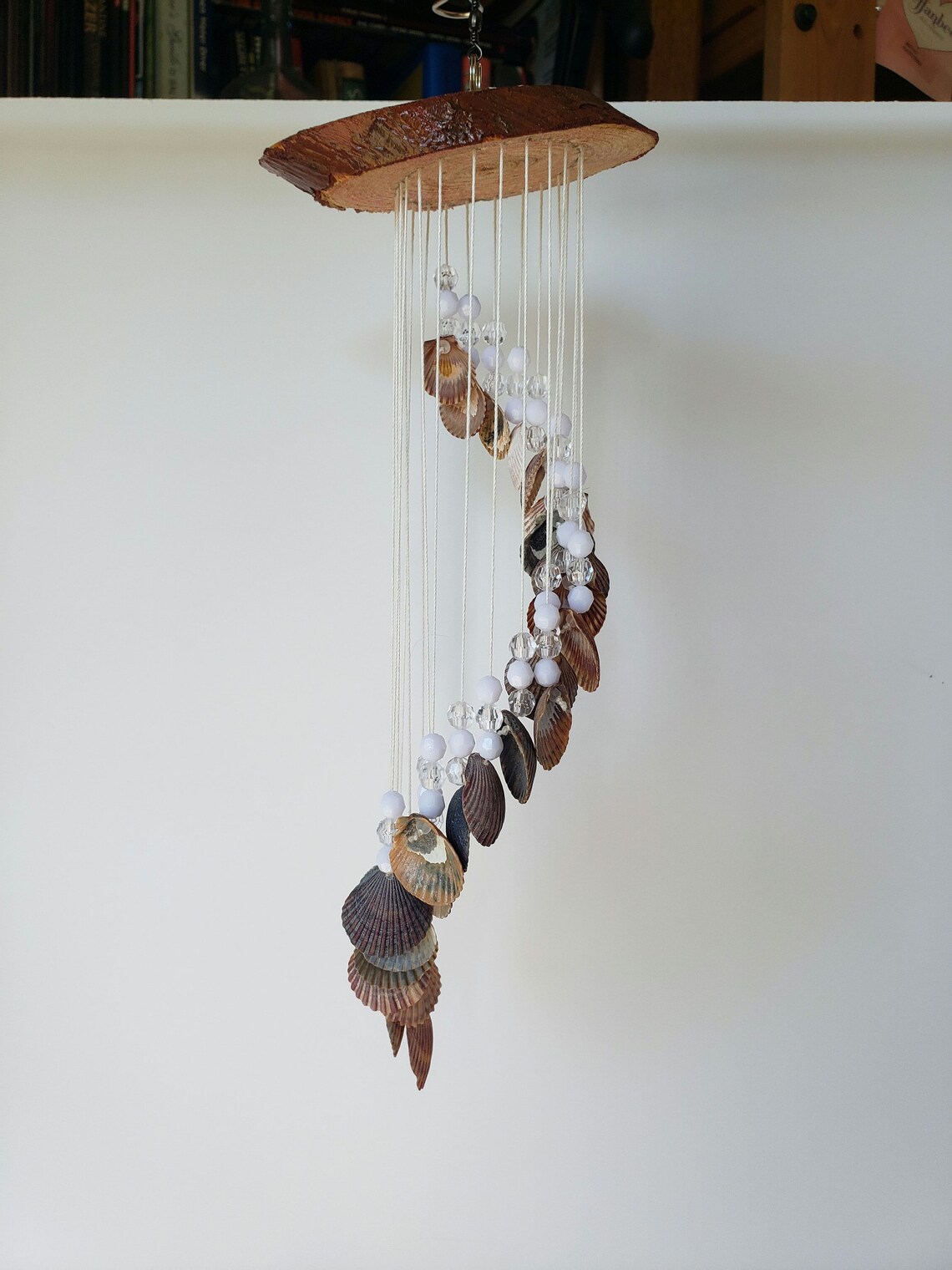 Mini Scallop Shell Chime - Etsy
