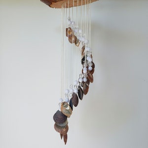 Mini Scallop Shell Chime - Etsy