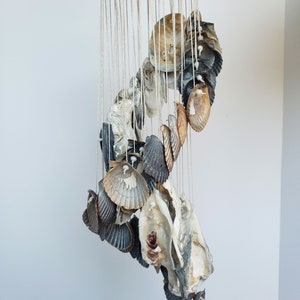 Scallop and Oyster Shell Chime - Etsy
