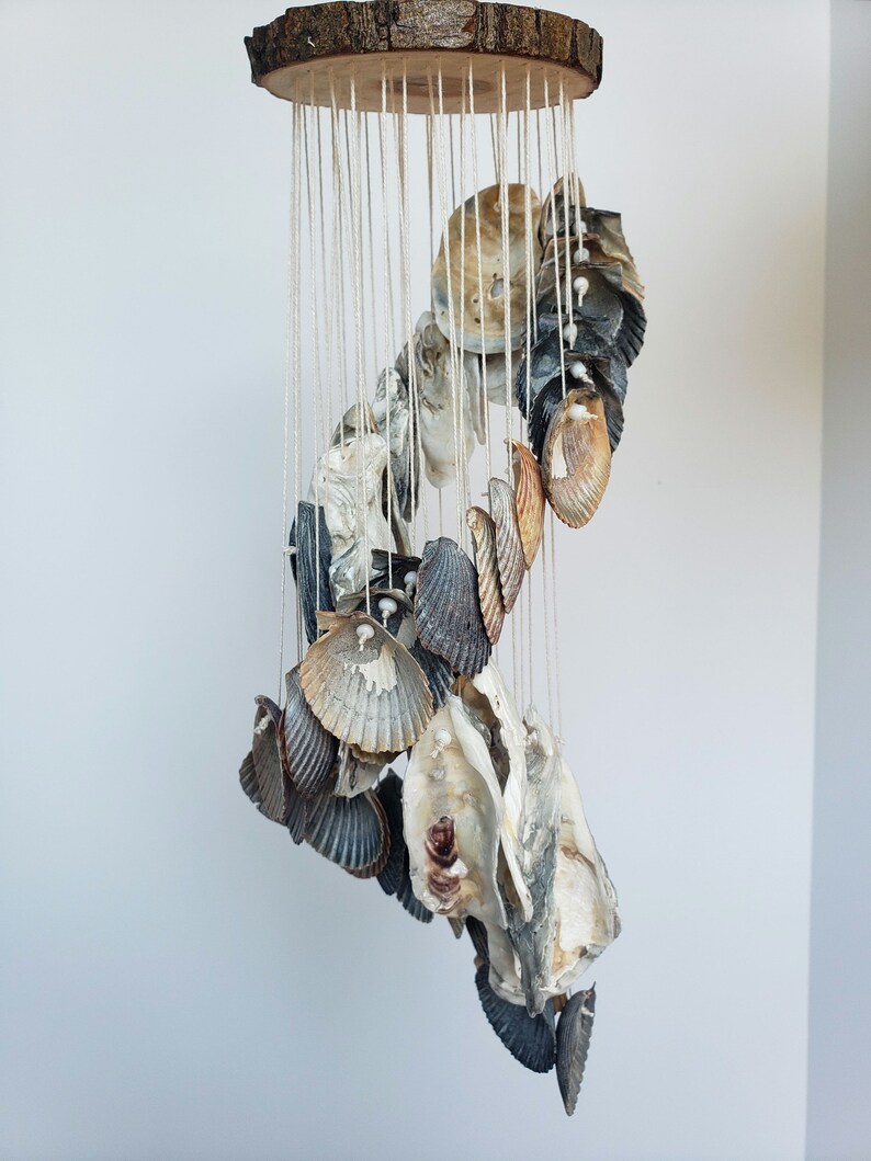 Scallop and Oyster Shell Chime - Etsy