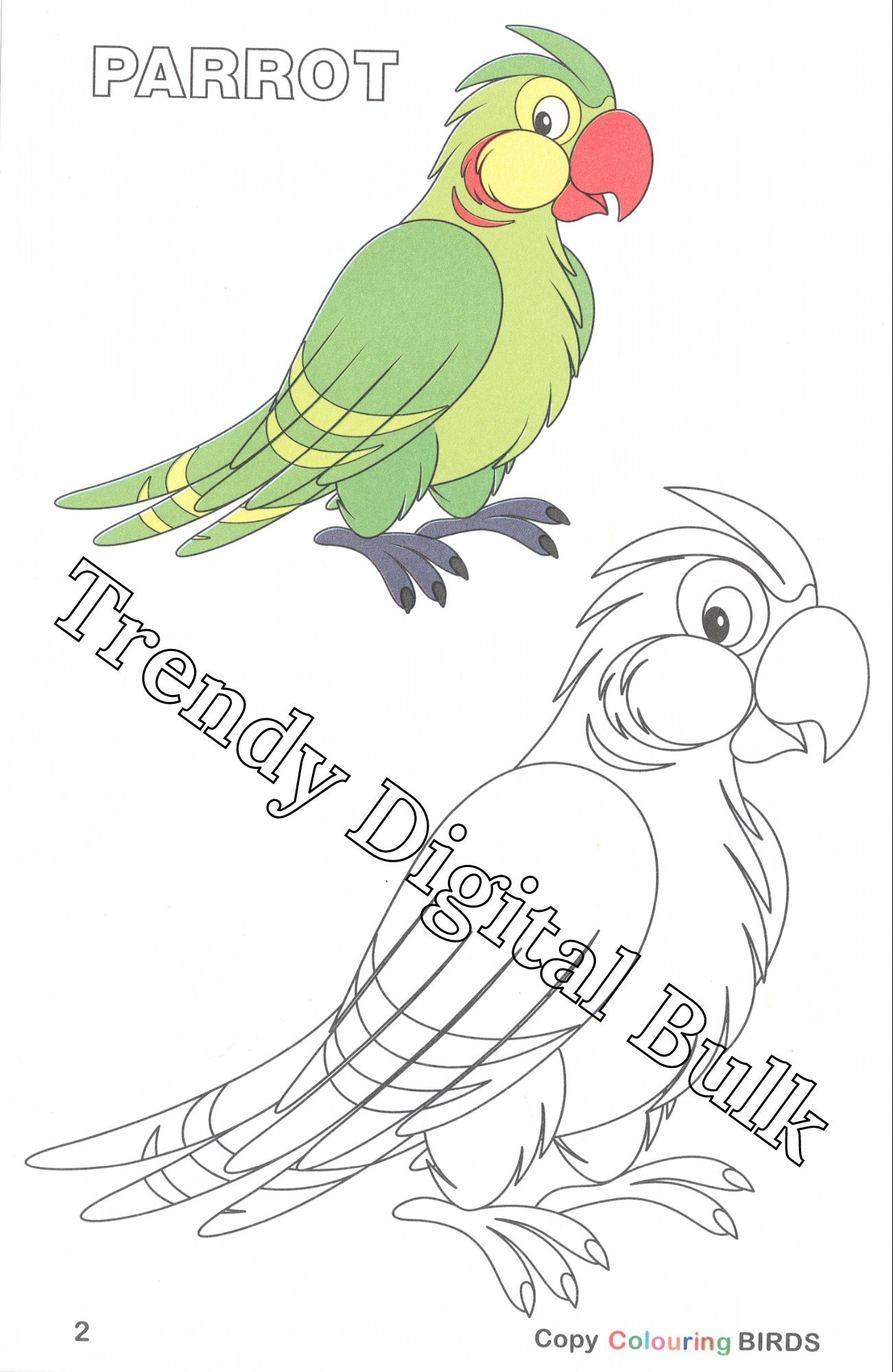 Printable Birds Coloring Pages | Peacock, Parrot, Owl, Flamingo, Eagle ...