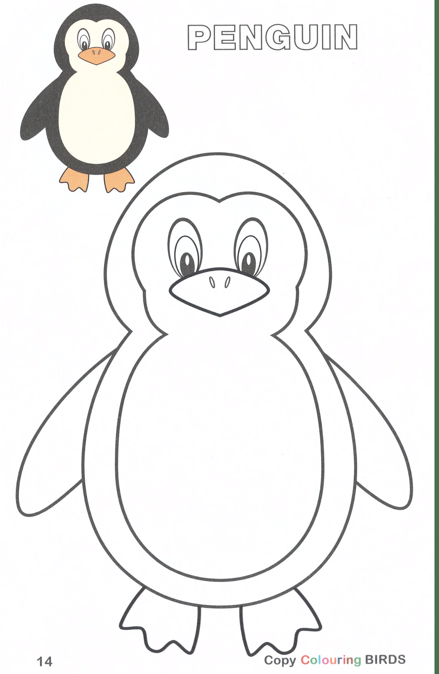 Printable Birds Coloring Pages | Peacock, Parrot, Owl, Flamingo, Eagle ...