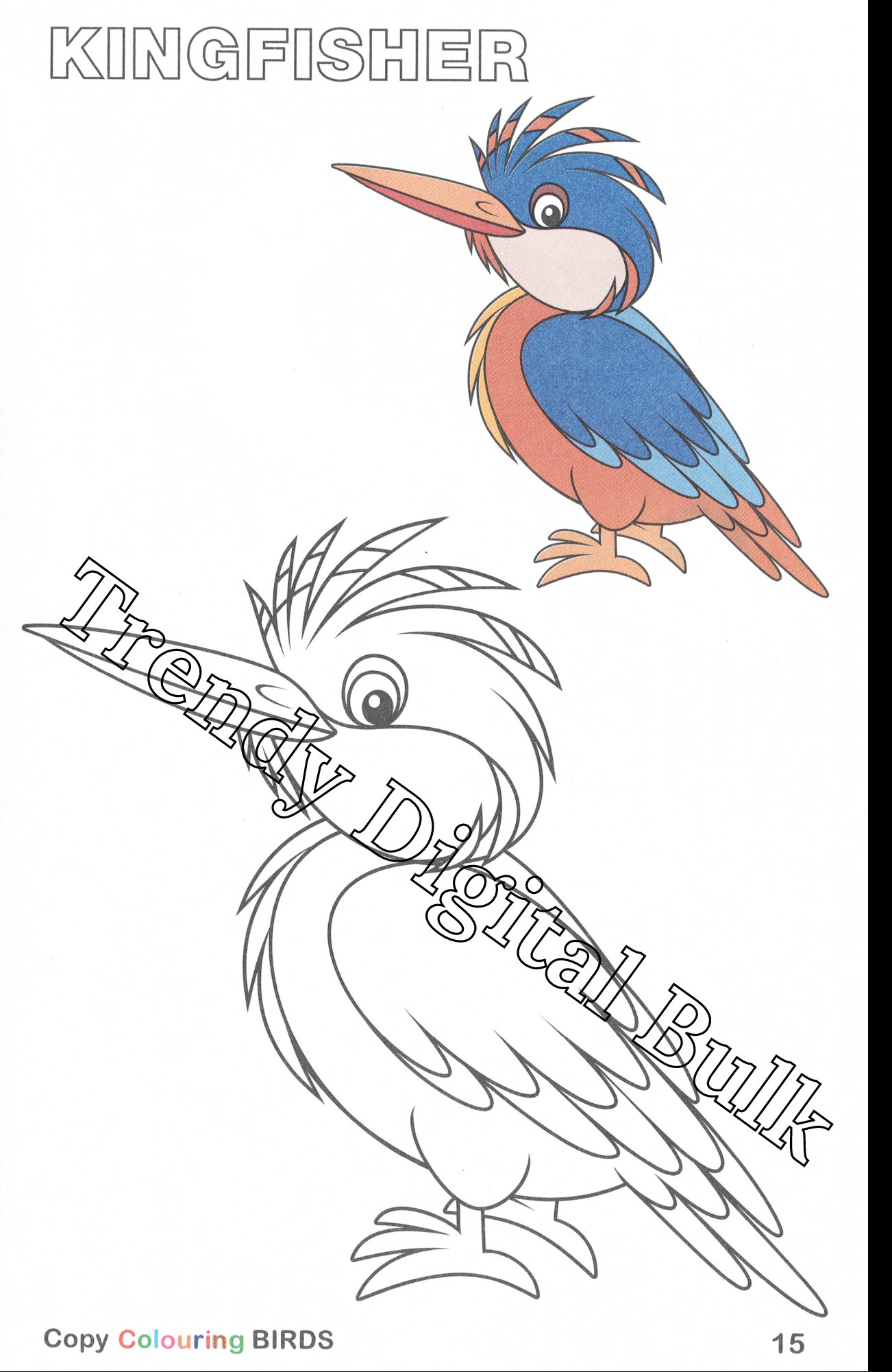Printable Birds Coloring Pages | Peacock, Parrot, Owl, Flamingo, Eagle ...