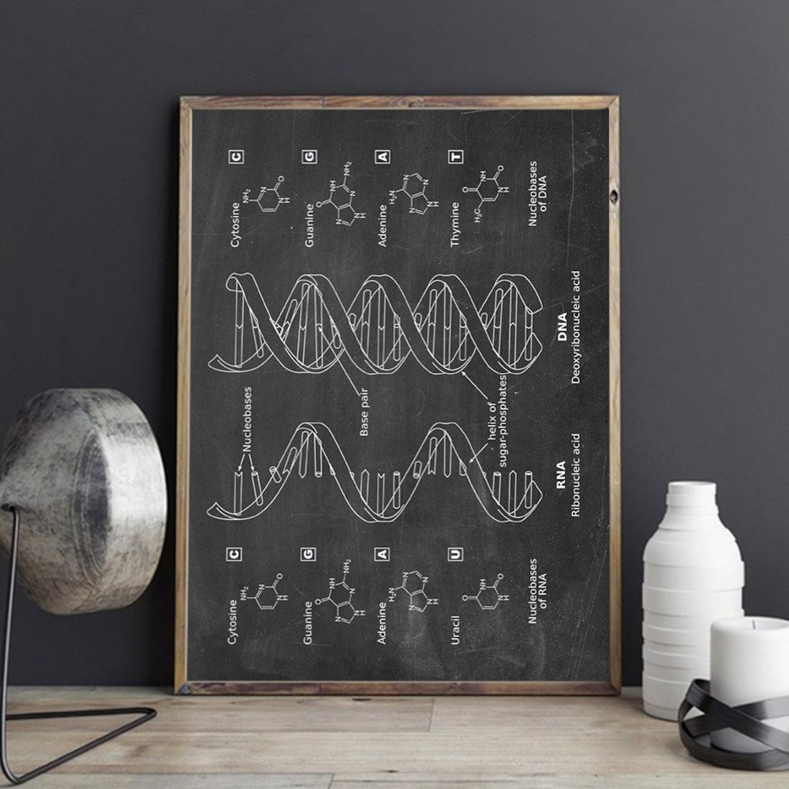 DNA Poster Biology Wall Art Print Genetics Canvas Poster Paintings ...