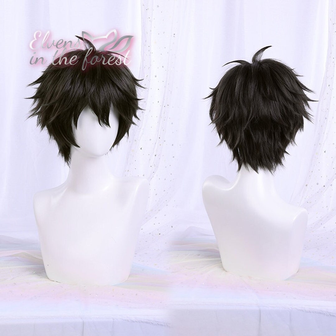 Honkai: Star Rail Dan Heng Black Men's Short Wig Cosplay Wig Dan Heng ...