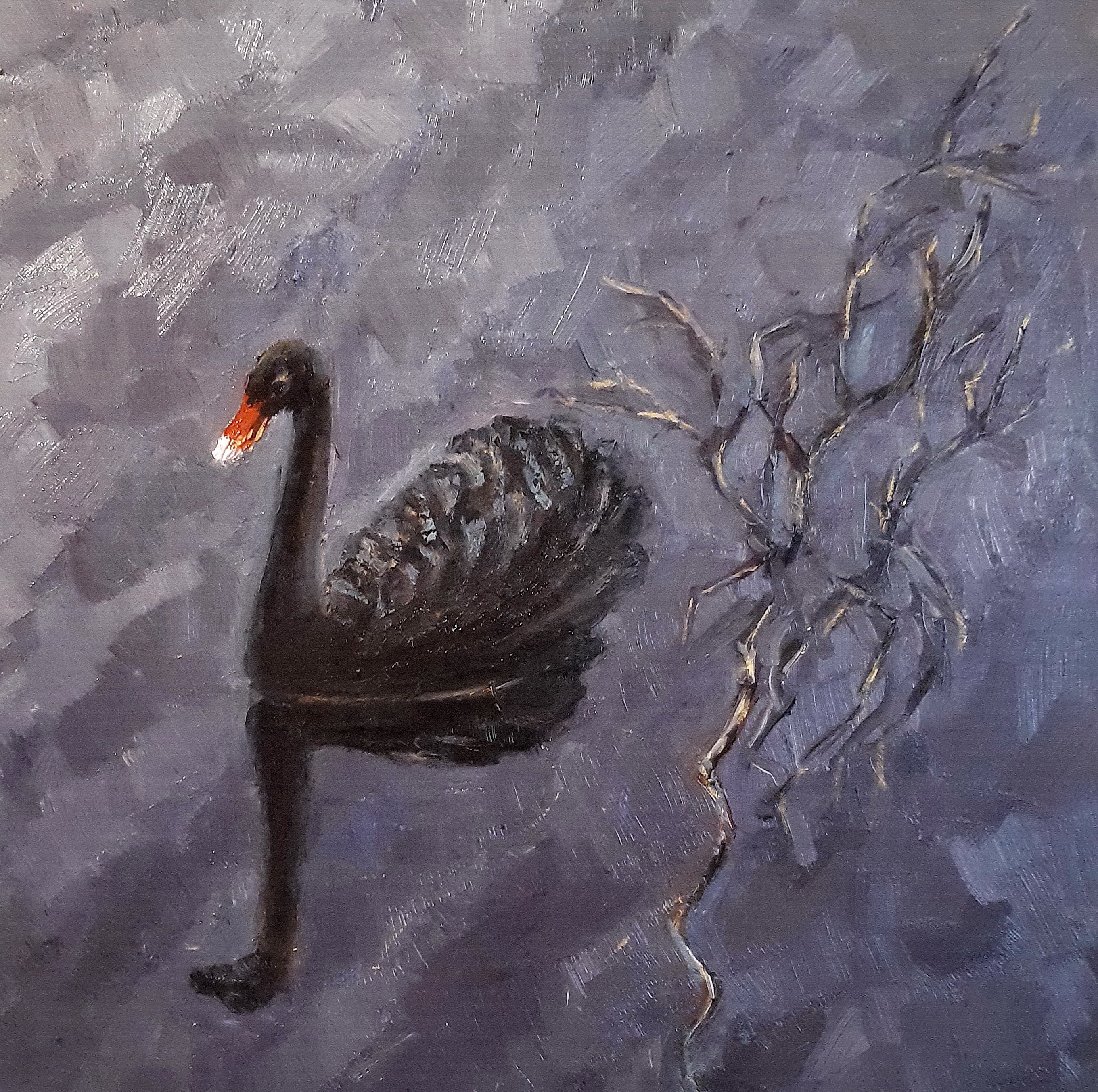 Black Swan Original Oil Painting Swan Wall Art Evening - Etsy UK