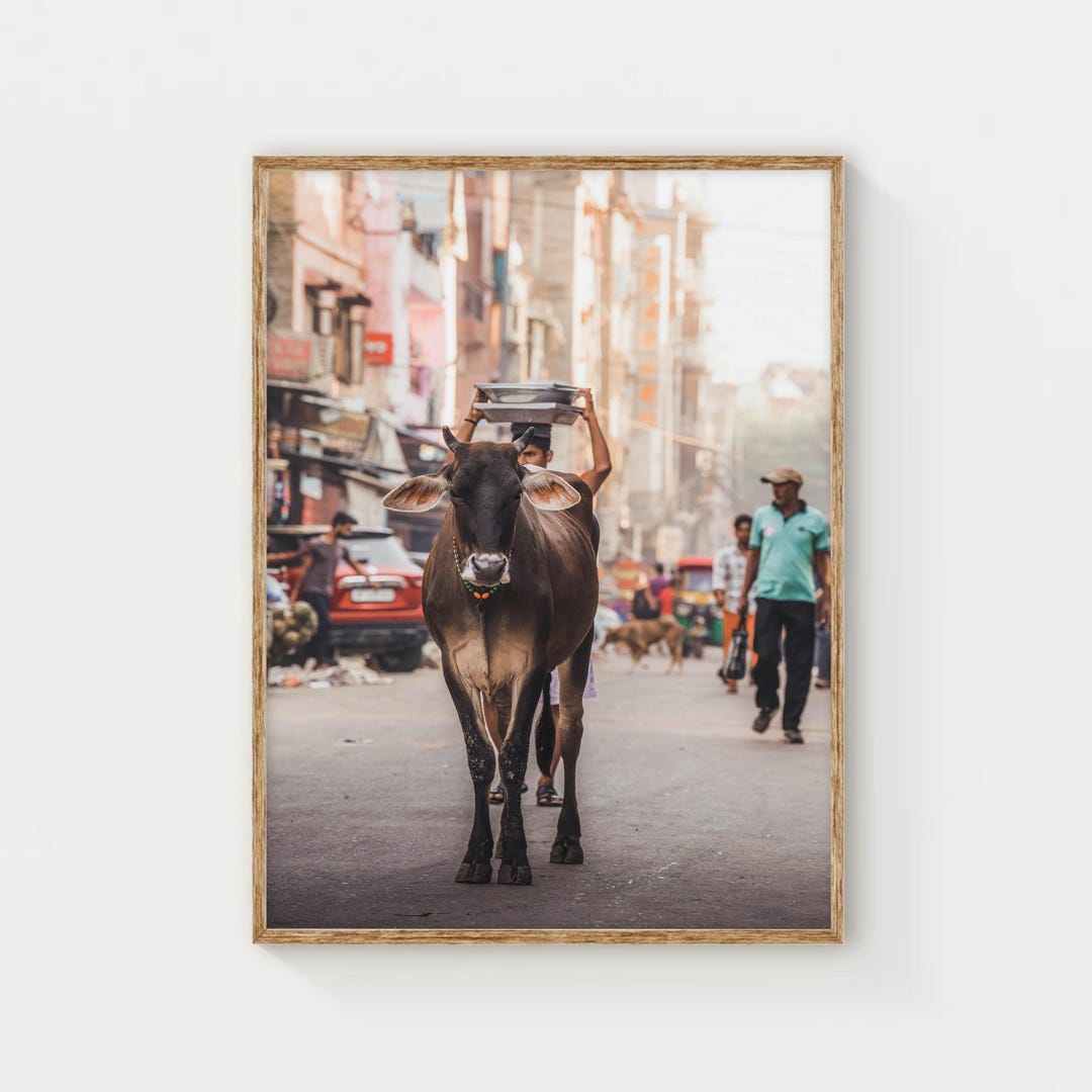 India Street Print | Vibrant Photography of Daily Life | Urban Street ...