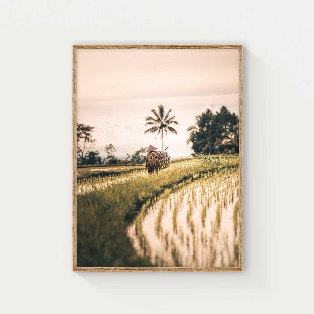 Bali Rice Fields Wall Art Print, Serene Landscape Photography, Tropical ...