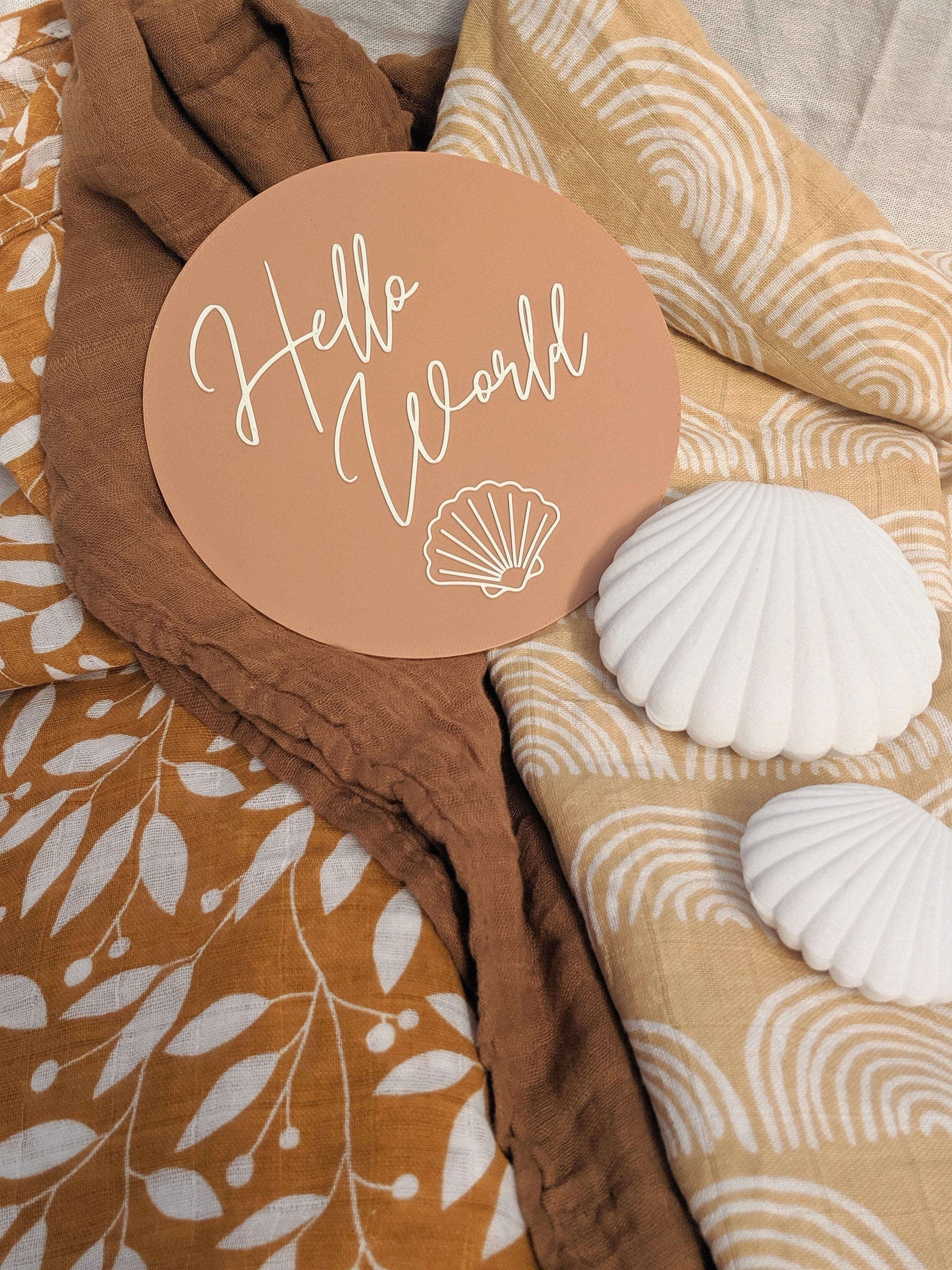 Baby Birth Announcement Sign Hello World Milestone Baby - Etsy Australia